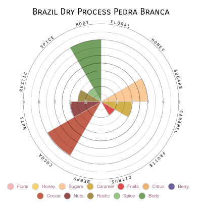 South American Green Coffee