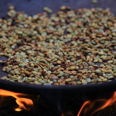 Coffee Shrub - Ethiopia - Africa - Green Coffee