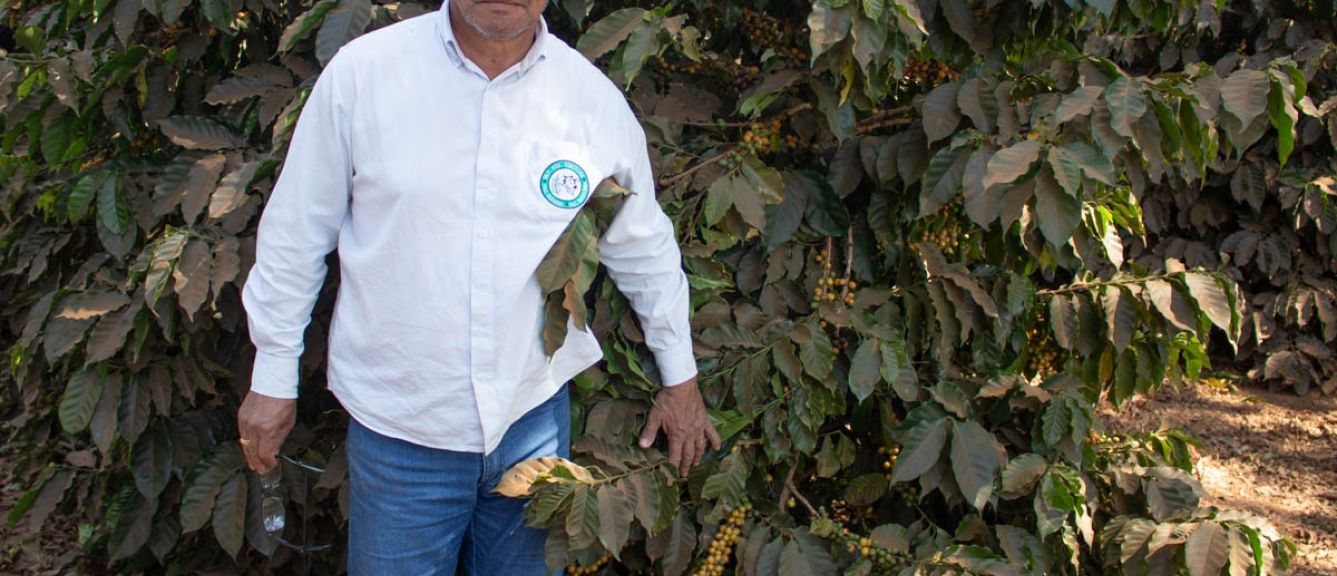 Brazil Patrocinio Fazenda Paraiso
