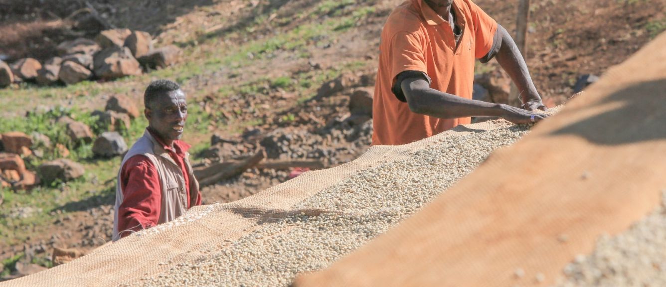 Ethiopia Uraga Raro Boda
