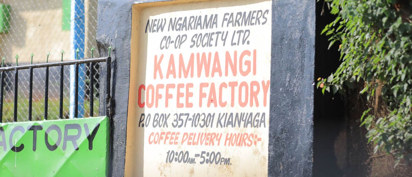 Kenya Kirinyaga Kamwangi Peaberry