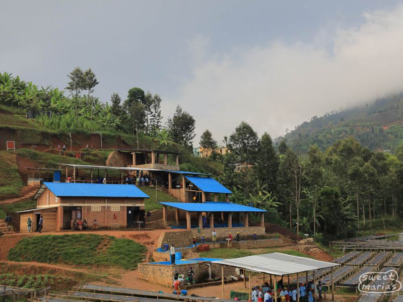 Rwanda Anaerobic Karambi